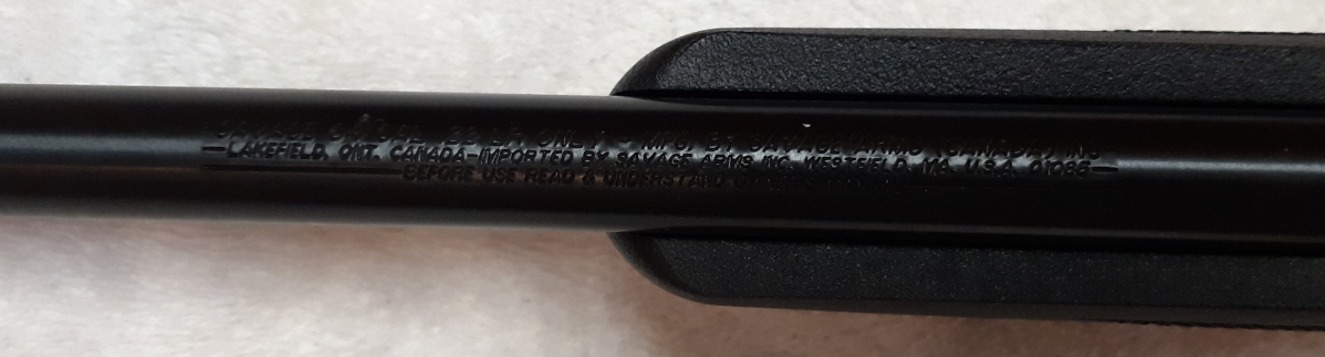 Savage 64F 22LR Semi Auto Rifle Synthetic with 10 Round Magazine 40203 ...