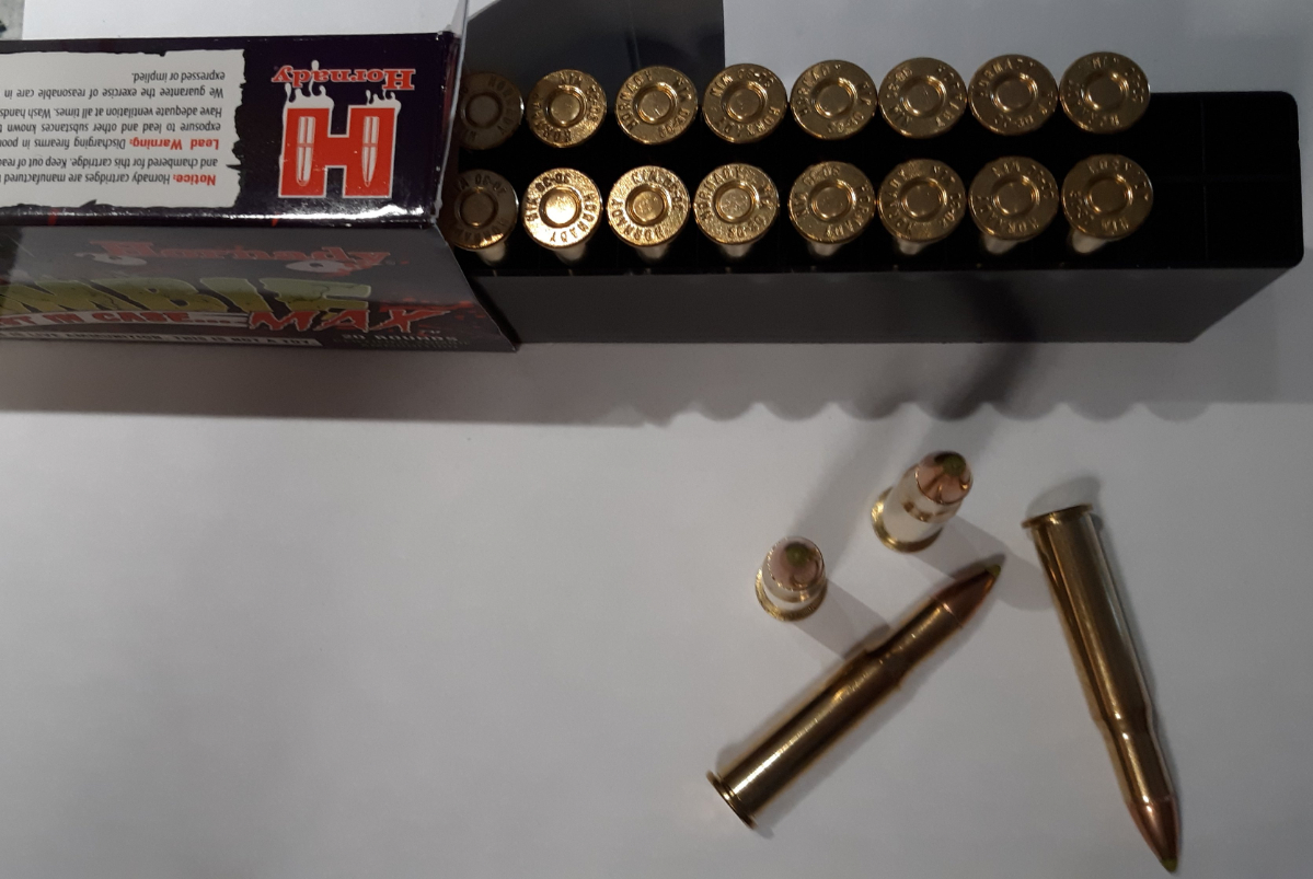 Hornady 20 Rounds Zombie Max 30-30 Win 160gr Z-Max Polymer Tip ...