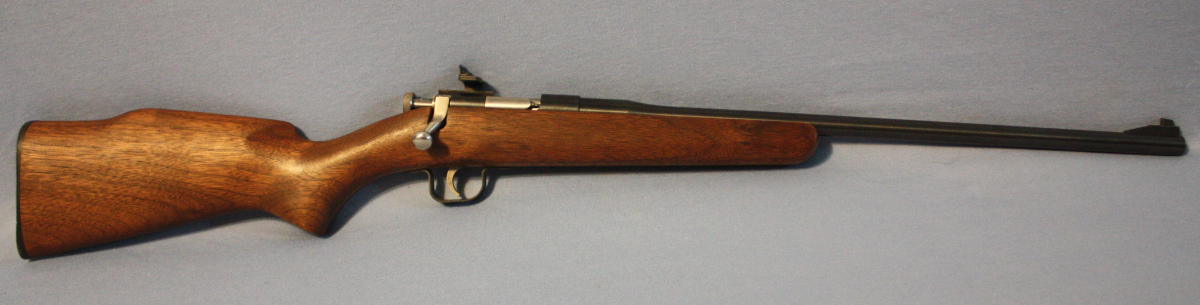 Chipmunk Standard Single Shot .22 Lr For Sale at GunAuction.com - 17080582