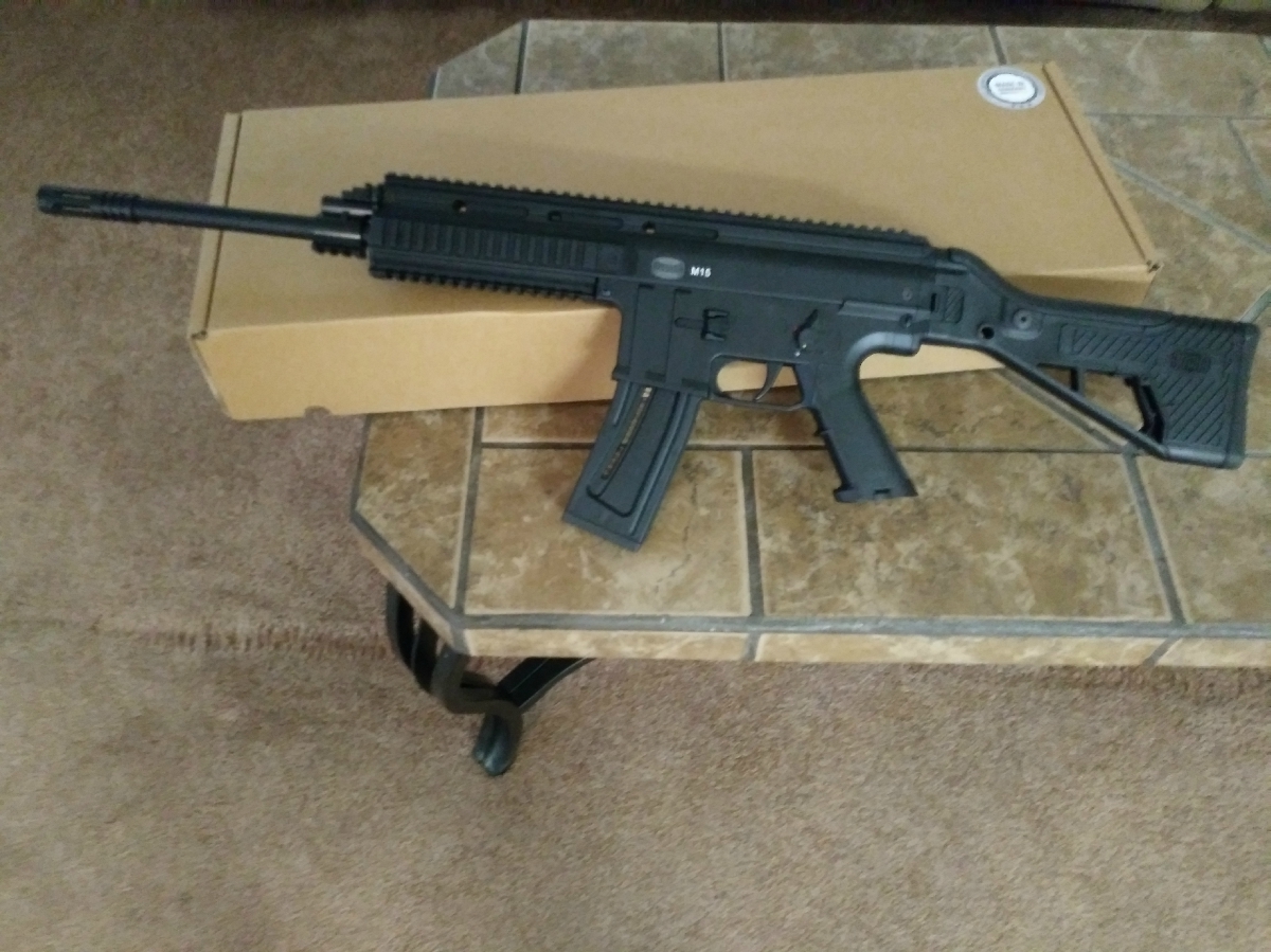 MAUSER M-15 CARBINE 22LR .22 LR 17193970 - GunAuction.com