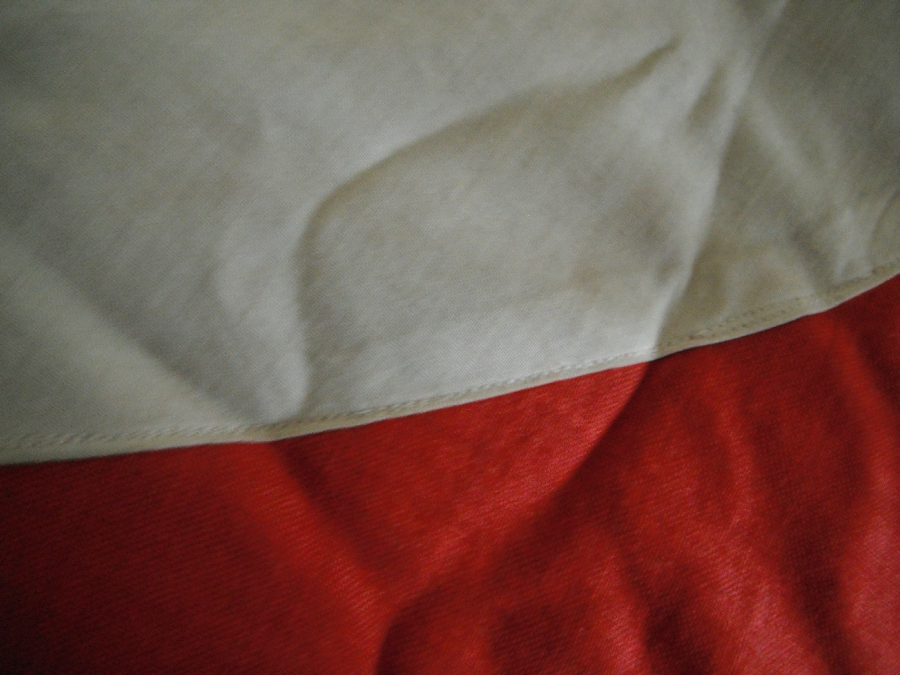 Ww2 Nazi Flag/Banner Wool 4 Ft X 8 Ft Sewn Center For Sale at ...