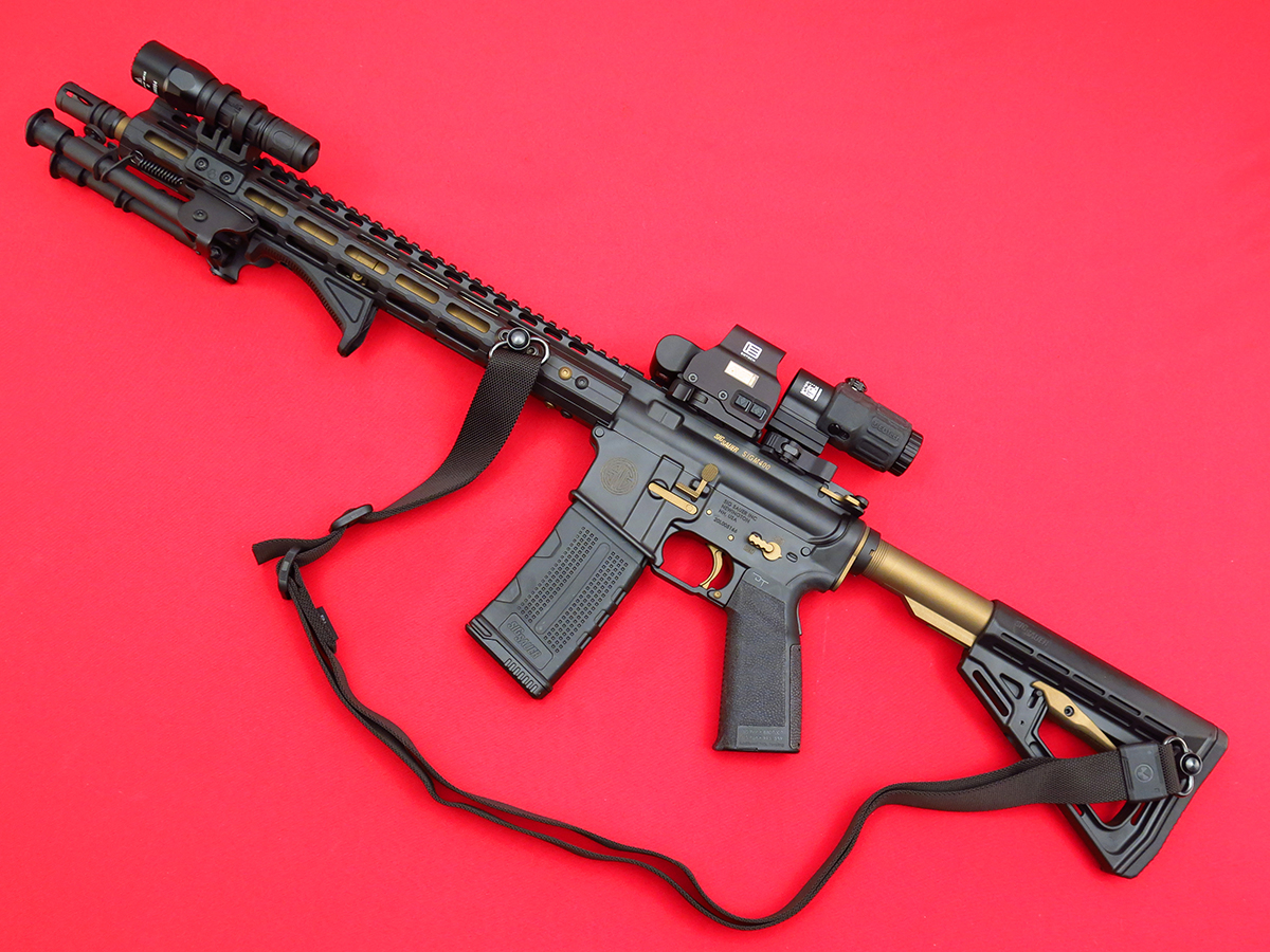 SIG SAUER - ~ M400 FULL CUSTOM RIFLE...EOTECH EXPS2, EOTECH G33, DIGI ...