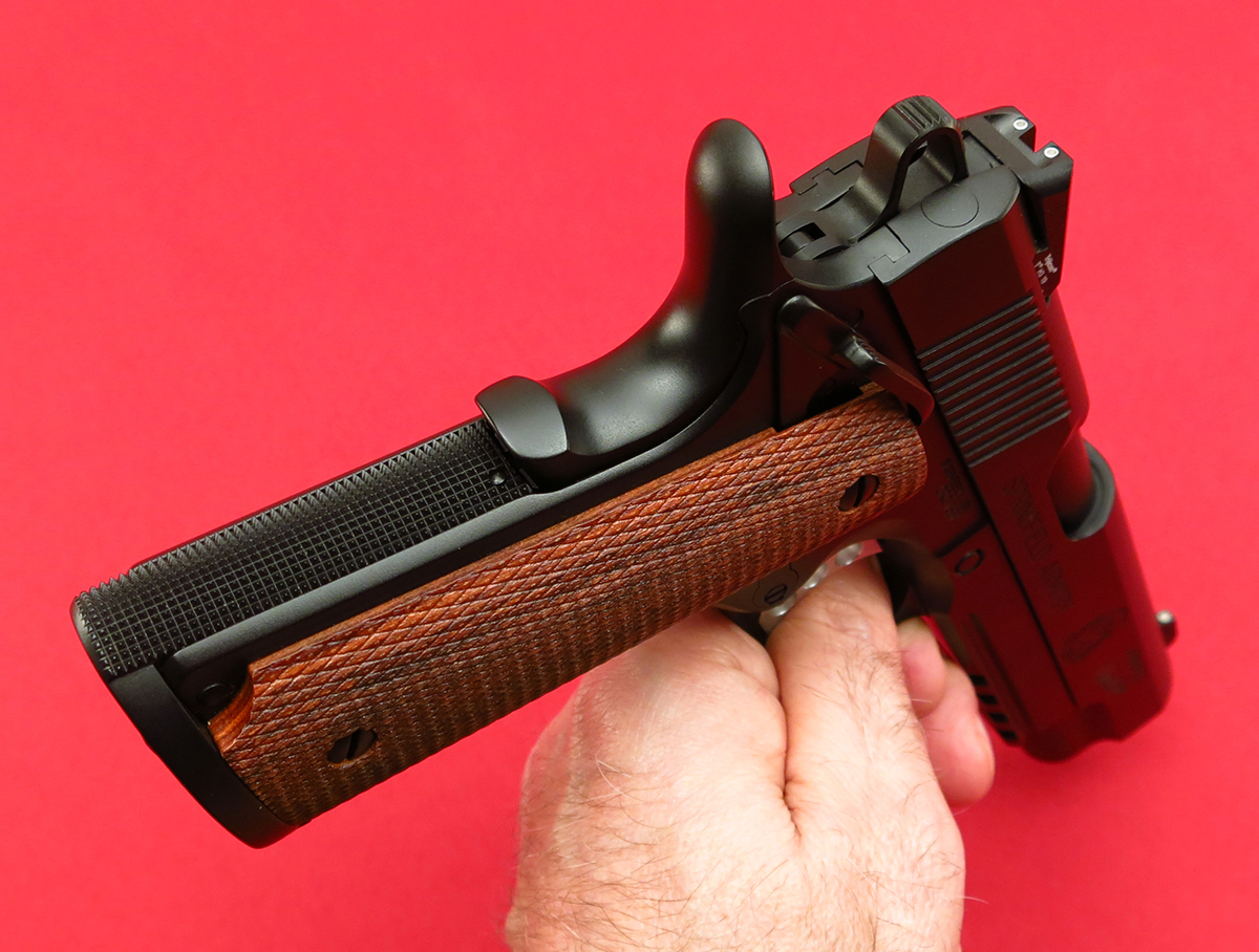 Springfield Armory Custom Shop 1911 Professional Light Rail (Pc9111lr ...