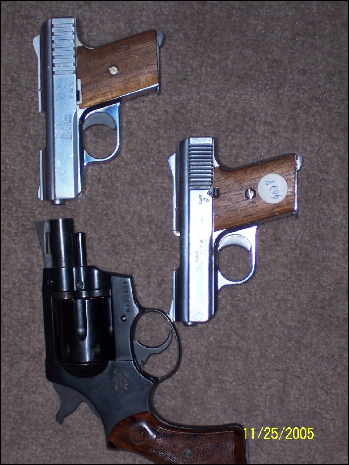 Rg Industries & Raven Rg Model 40 & Raven Model P-25 For Sale at ...