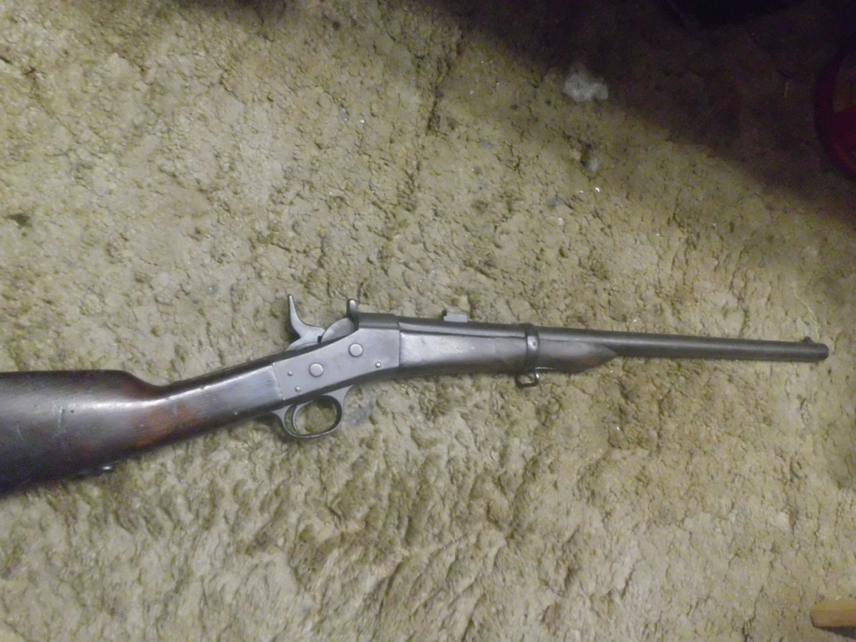 Remington Rolling Block Carbine .43 Spanish For Sale at GunAuction.com ...