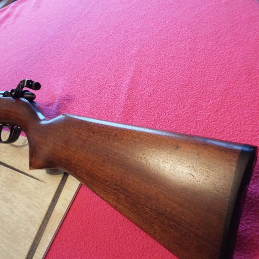 Remington Arms Co, Inc. Model 511p, Scoremaster .22 Lr For Sale at ...