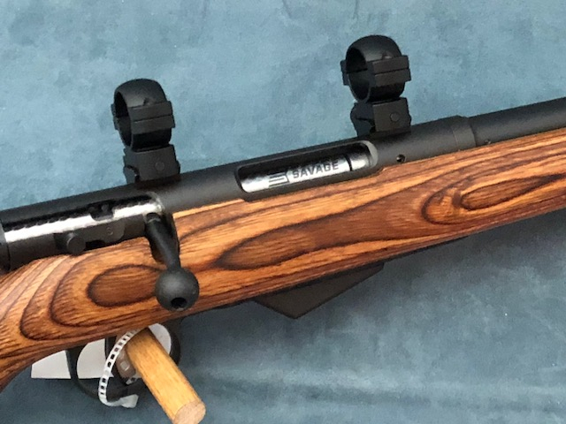 Savage Model 25 Walking Varmint 17 Hornet 24