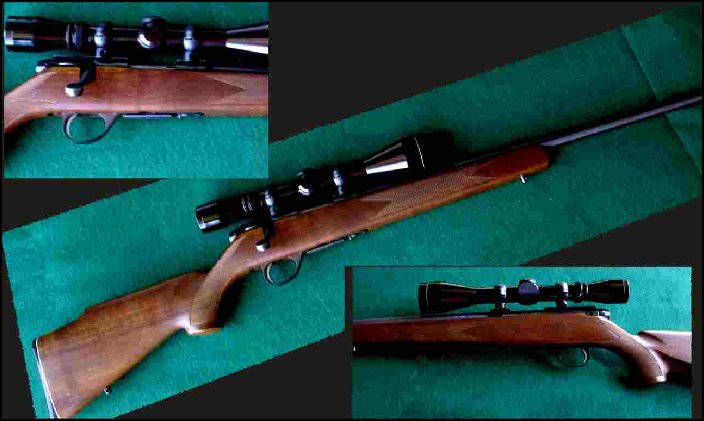 Sako M78 .22 Hornet Perfect W/ Leupold 3 X 9 For Sale at GunAuction.com ...