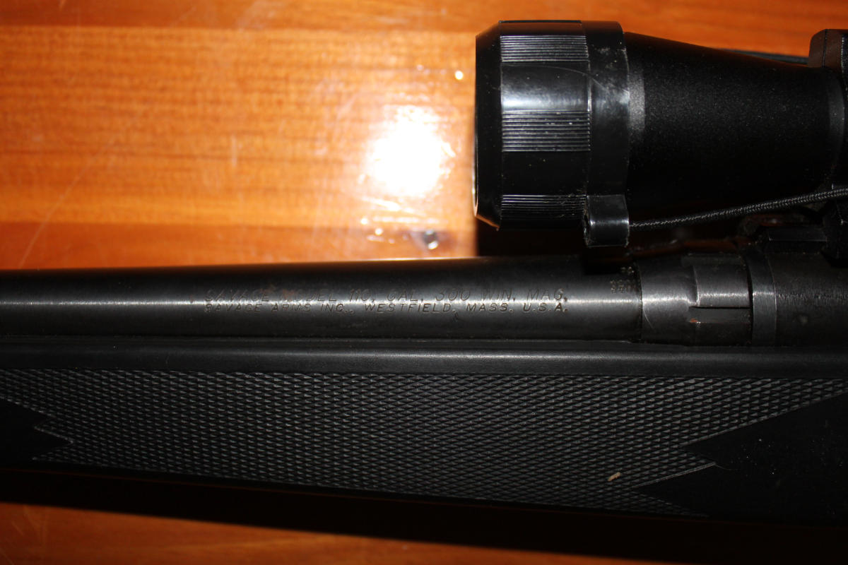 Savage Model 110 For Sale at GunAuction.com - 14889616