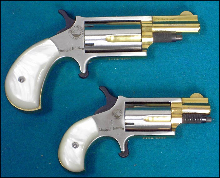 Naa, Companion, Limited Ed. Set 100 For Sale at GunAuction.com - 6994377