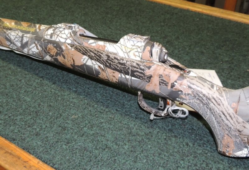 Savage Model 10 Predator .204 Ruger Snow Camo New For Sale at ...