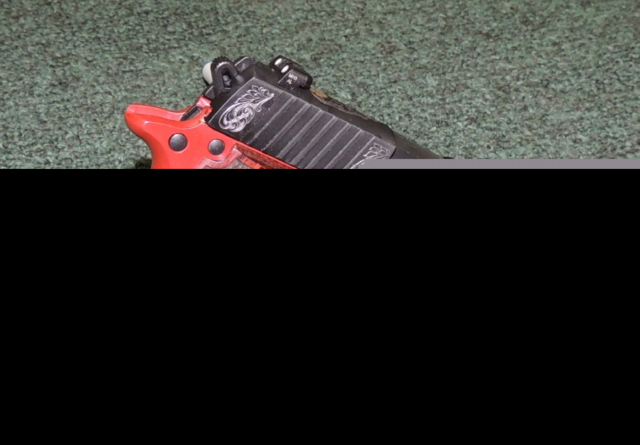 Sig Sauer P-238 Lady .380 Acp New No Reserve For Sale at GunAuction.com ...