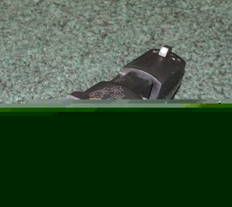 Sig Sauer P-238 Lady .380 Acp New No Reserve For Sale at GunAuction.com ...