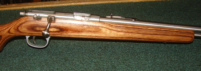 Marlin Model 883ss .22wmr No Reserve For Sale at GunAuction.com - 10522115