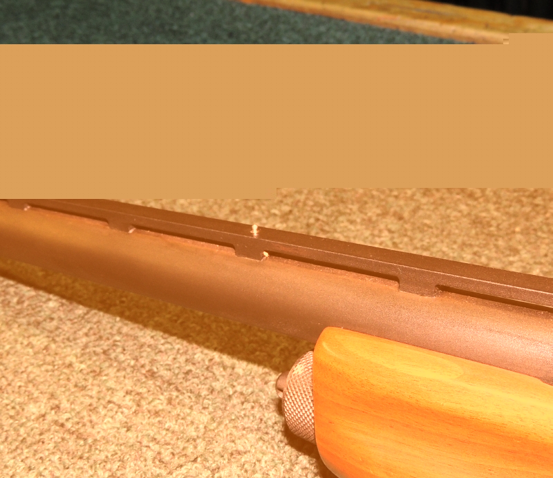 Remington Sp-10 10ga With 2 Barrels No Reserve For Sale at GunAuction ...