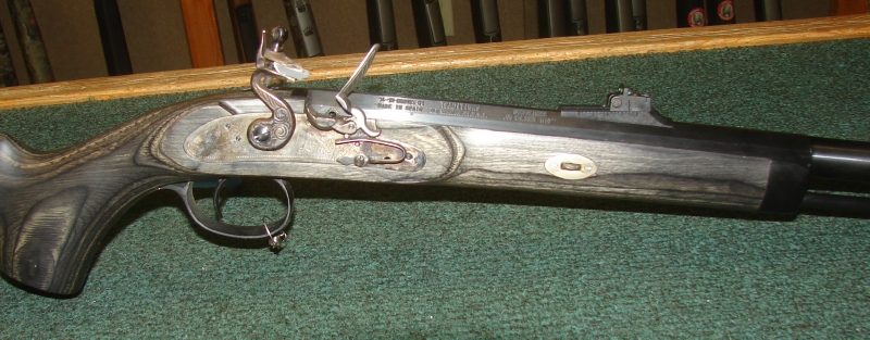 Traditions 50 Caliber Buckskinner Flintlock For Sale at GunAuction.com ...