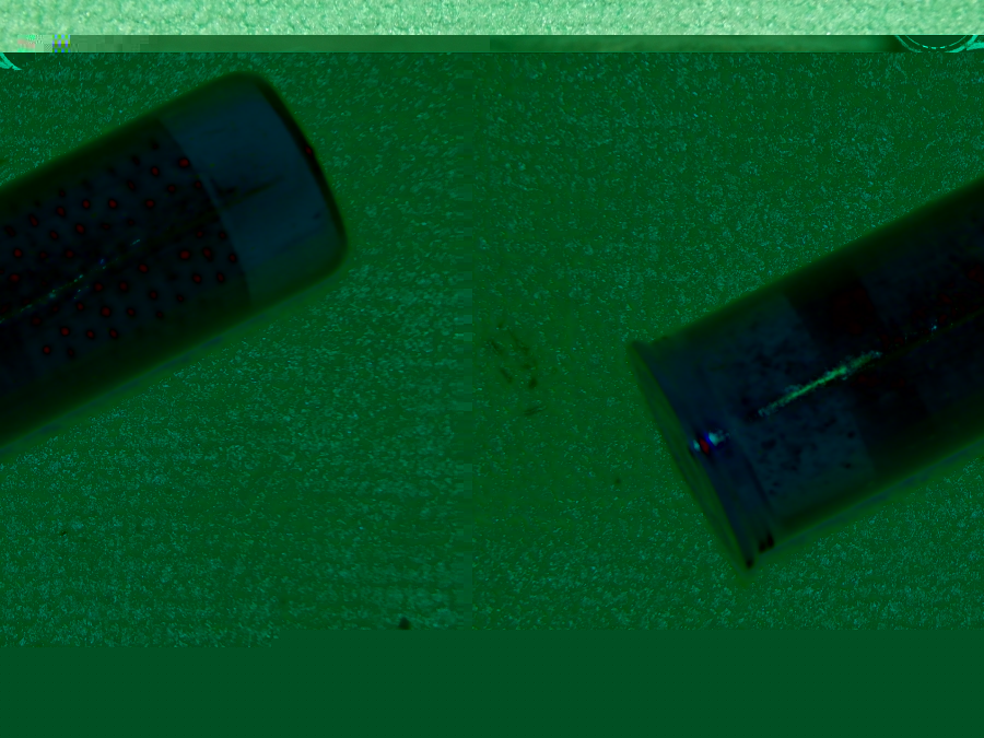 Wanda 12GA Shotshell 12 GA | 15486526 GunAuction.com