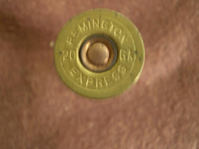 20 GA Rem Express Paper/Green Rifled Slug 9518867 - GunAuction.com