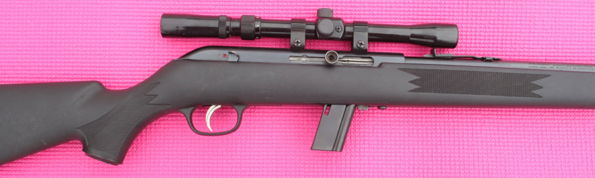 Stevens Model 62 Semi-Auto Rifle With Synthetic Stock, 3-7x22 Scope .22 ...