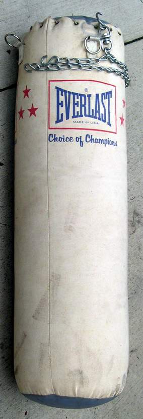 Everlast Professional Kick/Punch Bag For Sale at GunAuction.com - 7206256