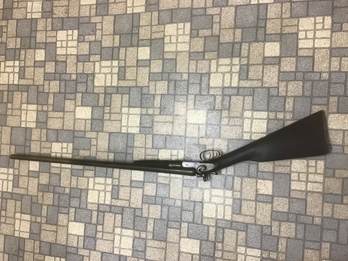 Colt Model 1878 Db Serial # 37xx Built 1880 12 Ga For Sale at ...