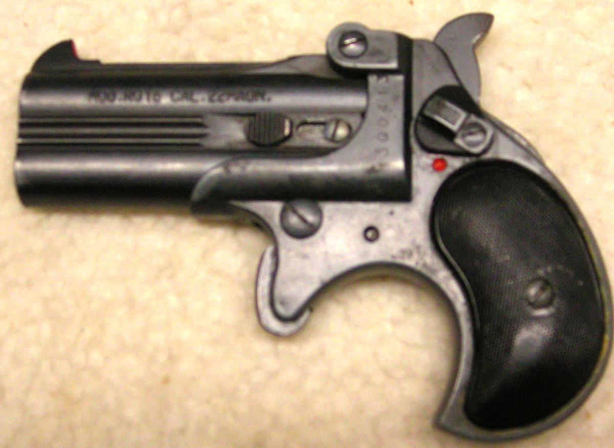 Rg Model 16 .22 Magnum For Sale at GunAuction.com - 15320278