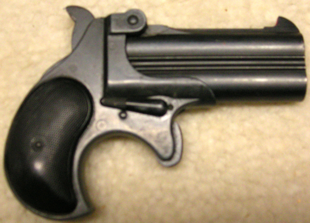 Rg Model 16 .22 Magnum For Sale at GunAuction.com - 15320278