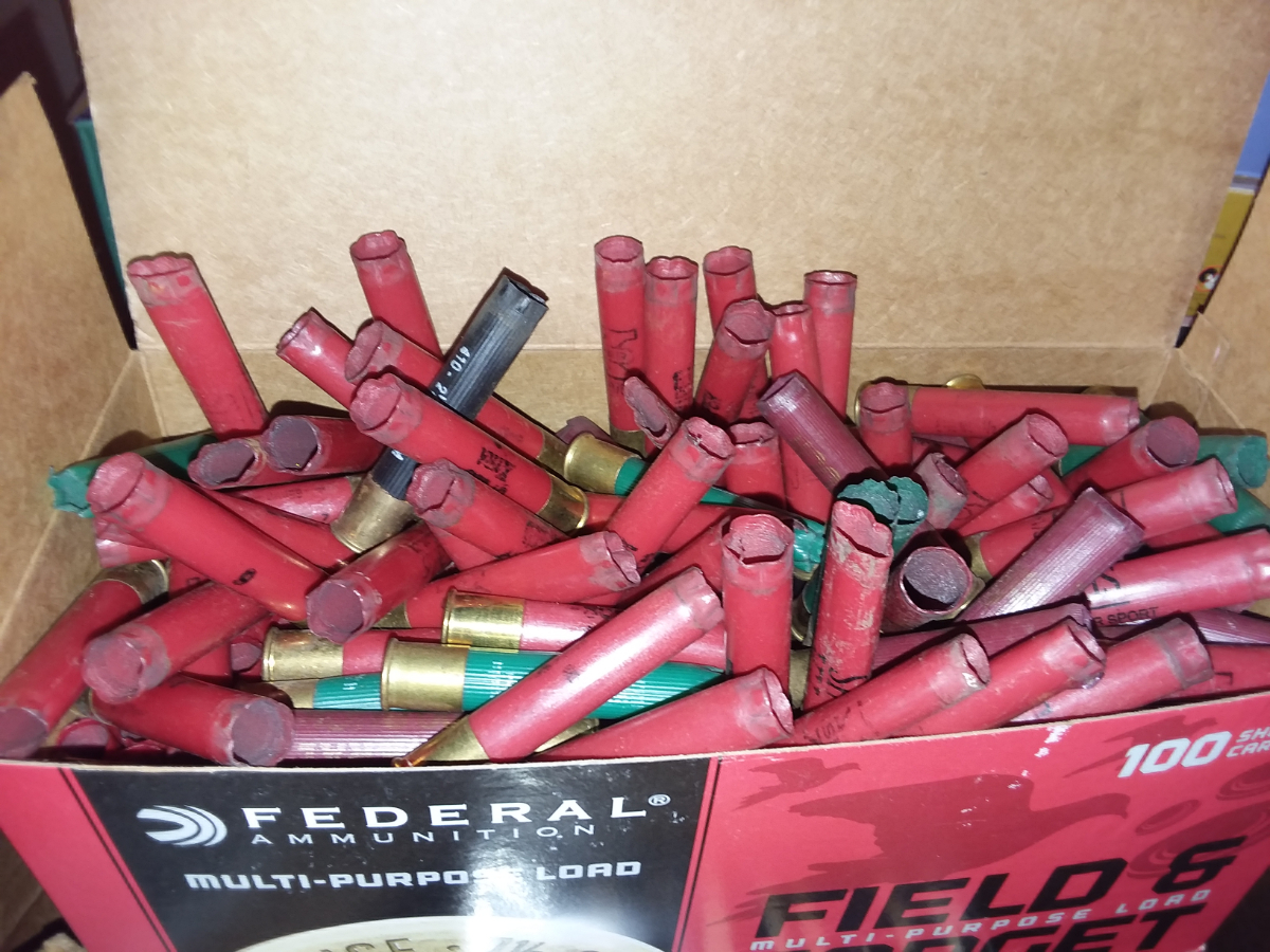 230 .410 Shotgun Shell Hulls Once Fired 2 3/4, 3" .410 Ga For Sale at ...