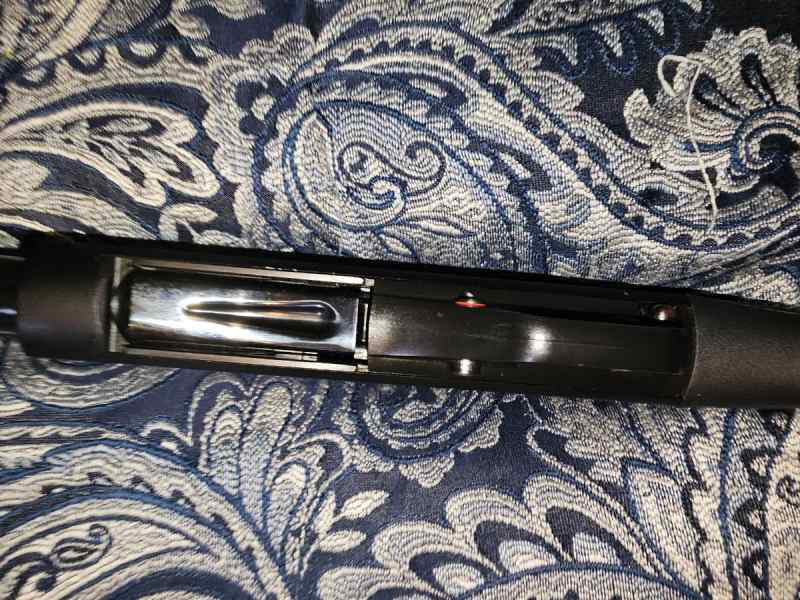 Winchester Sxp 12 Ga. Pump Lnib 12 Ga For Sale at GunAuction.com - 17371233
