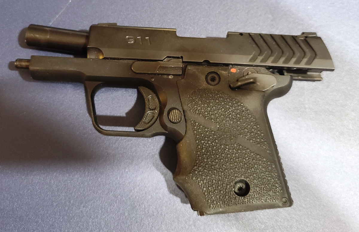 Springfield Armory Springfield 911 9mm with 10 magazines and extra 9mm ...