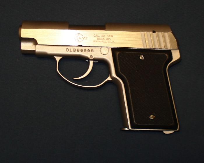 Amt .40 Cal. Back-Up For Sale at GunAuction.com - 8913779