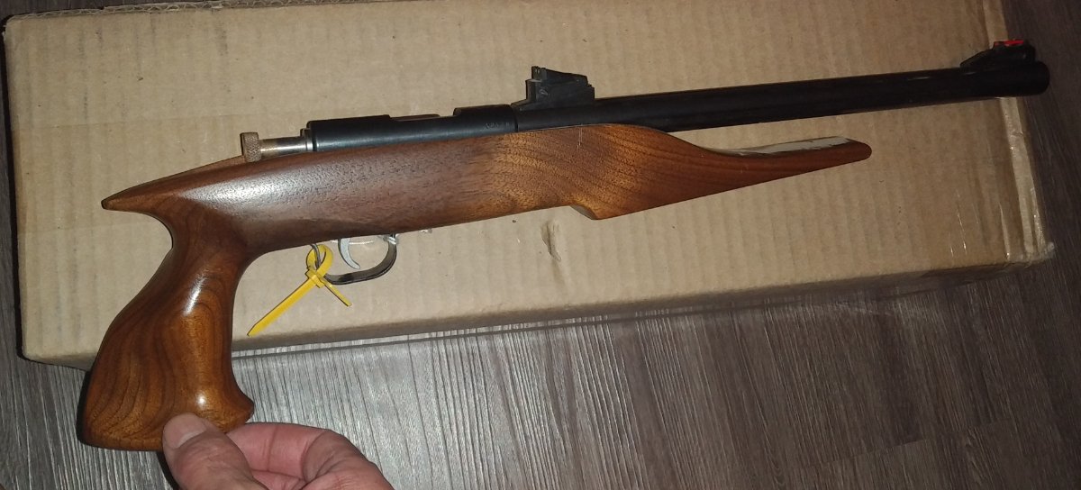 Rogue Rifle Chipmunk Pistol, Cool Pistol. Needs New Firing Pin. Single ...