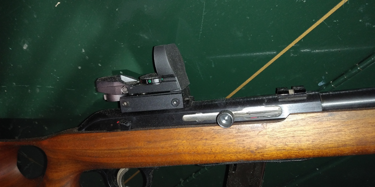 Savage 64 With Custom Stock, Needs Final Fitting, Red Dot Sight ...