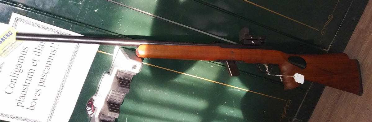 Savage 64 With Custom Stock, Needs Final Fitting, Red Dot Sight ...