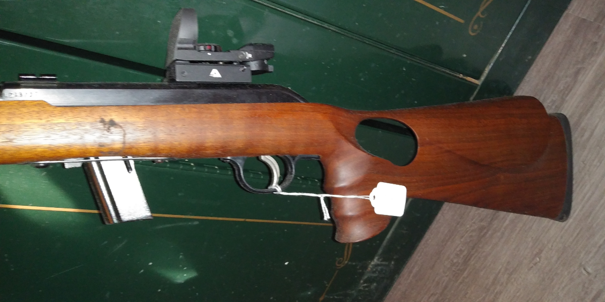 Savage 64 With Custom Stock, Needs Final Fitting, Red Dot Sight ...