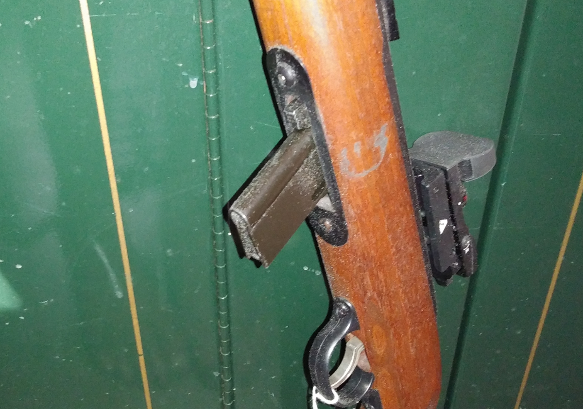 Savage 64 With Custom Stock, Needs Final Fitting, Red Dot Sight ...