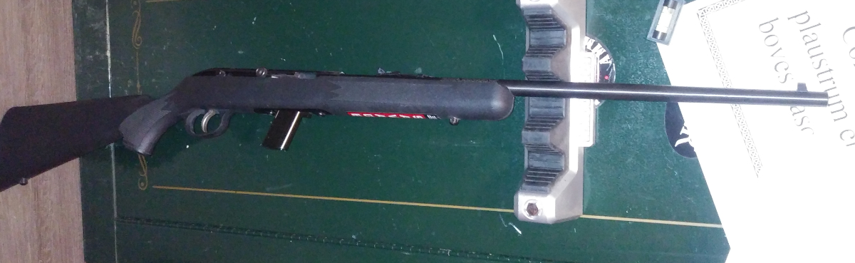 Savage Model 62, 21 Inch Barrel, Black Stock, Mag Fed Semi Auto ...