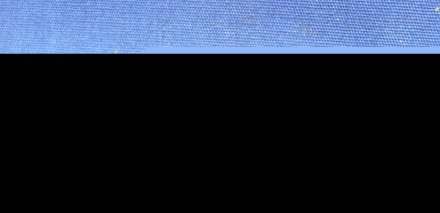 Broken Shell Extractor, .303 British, Free Ship .303 British For Sale ...