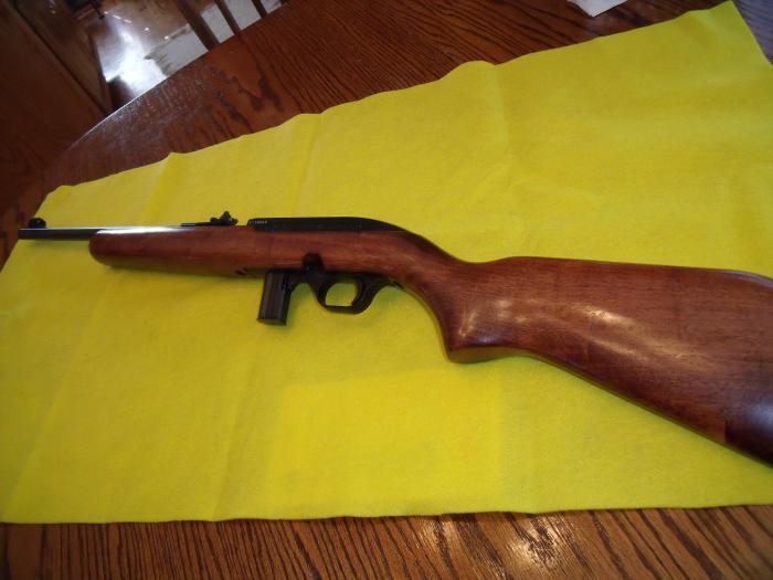 Magtech Model 7022 22cal Clip Fed Adjustable Sights For Sale at ...