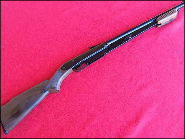 Daisy Model 225 For Sale at GunAuction.com - 7028468