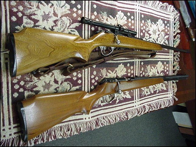 Sears/ J.C. Higgins 2 Gun Package, Model 42 Dlm, 22 Mag & Model 43dl ...