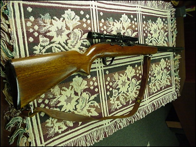 Sears Model 25 Semi Auto, .22 Rimfire, Tube Magazine For Sale at ...