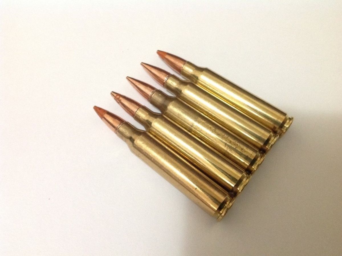 223 /5.56 TRACER AMMO 245 ROUNDS M856 XM856 .223 Rem. 17074496 ...