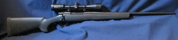 Howa Model 1500 W/ Scope .270 Win. For Sale at GunAuction.com - 16603292