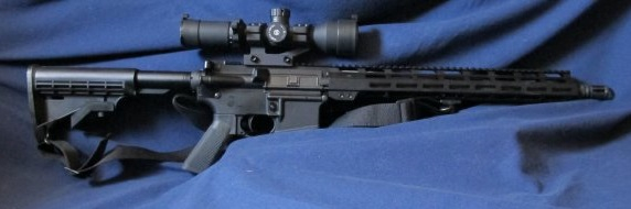 Del-Ton Dti-15 W/ Scope 5.56mm Nato For Sale at GunAuction.com - 17152156