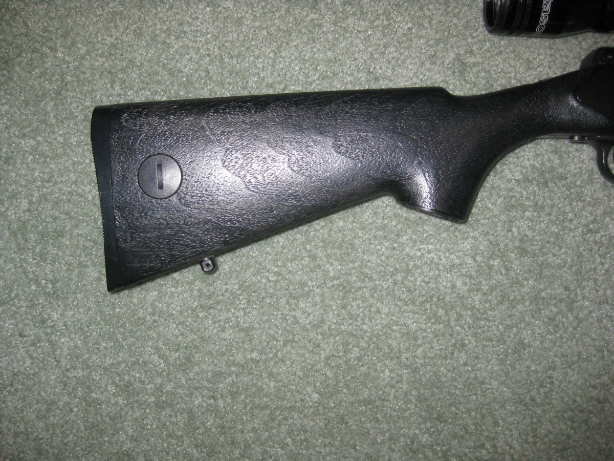 Daisy Mfg. Co. Inc. 22 Long Rifle, Daisy Mfg Co. Inc., Model 2202, Bolt ...