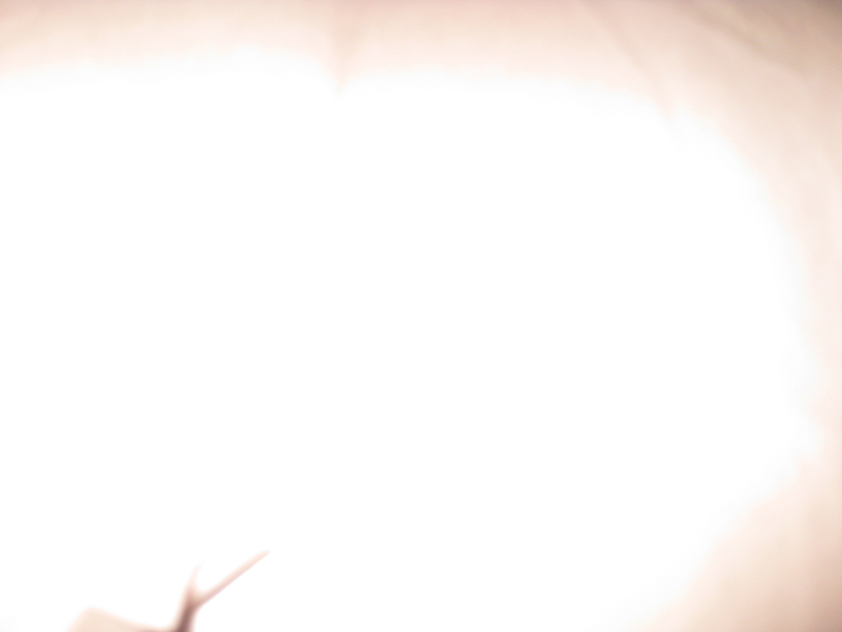 Jsc Barnaul Tool Bldg. Plant 2 Boxes Of 7.62 X 54 R, 203 Grain, Lead ...