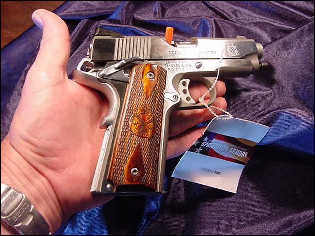 Springfield Armory (Geneseo, Il) Px9142l Custom Loaded Ss Champion .45 ...