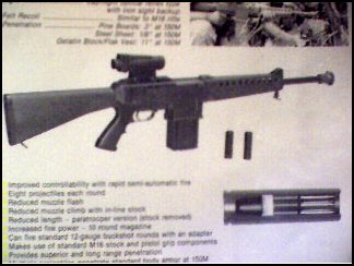 Aai Caws Experimental Shot 2 For Sale at GunAuction.com - 7762890