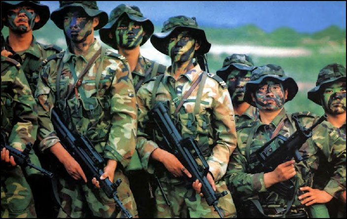 5.8x42 Chinese - Their Newest Rifle Cartridge For Sale at GunAuction ...